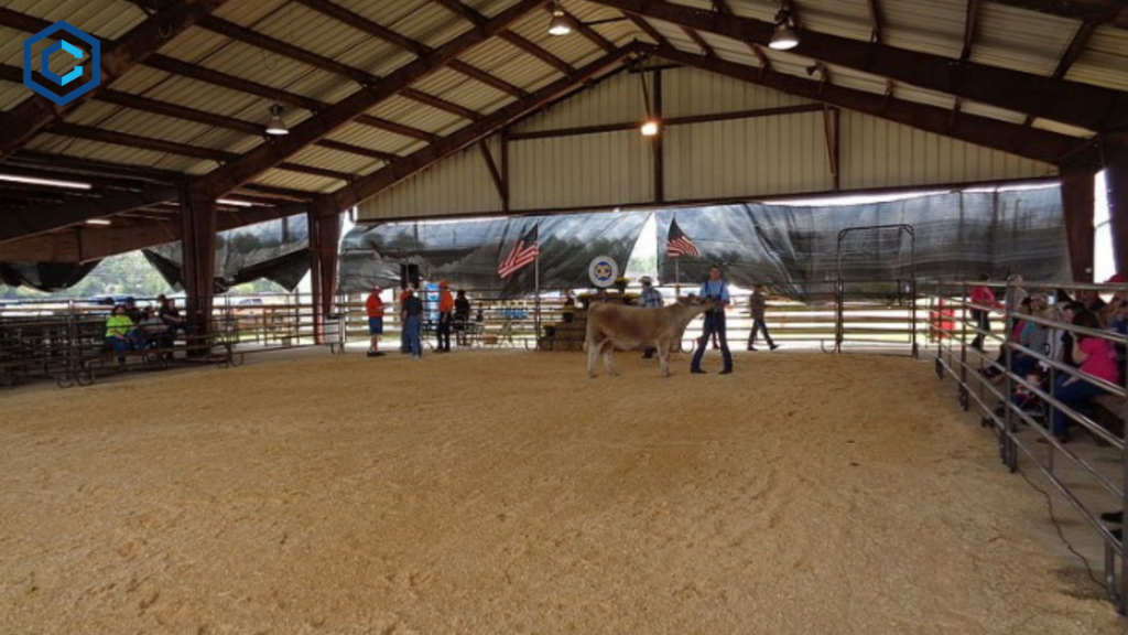 Indoor Riding Arenas - Steel & Stud