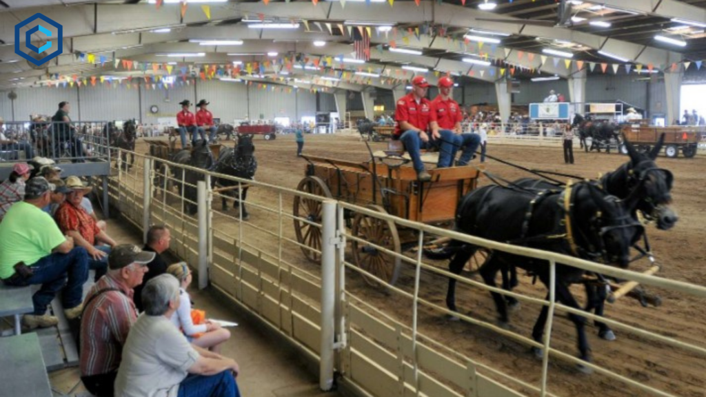 Indoor Riding Arenas - Steel & Stud